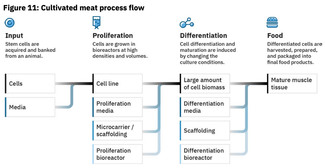 Market Study Deep Dive - Cultivated Meats - Voima Ventures